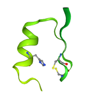Copilot Services - 310 Generative AI For Molecular Programming