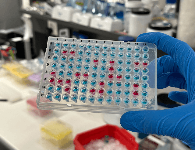 310 Generative AI For Molecular Programming